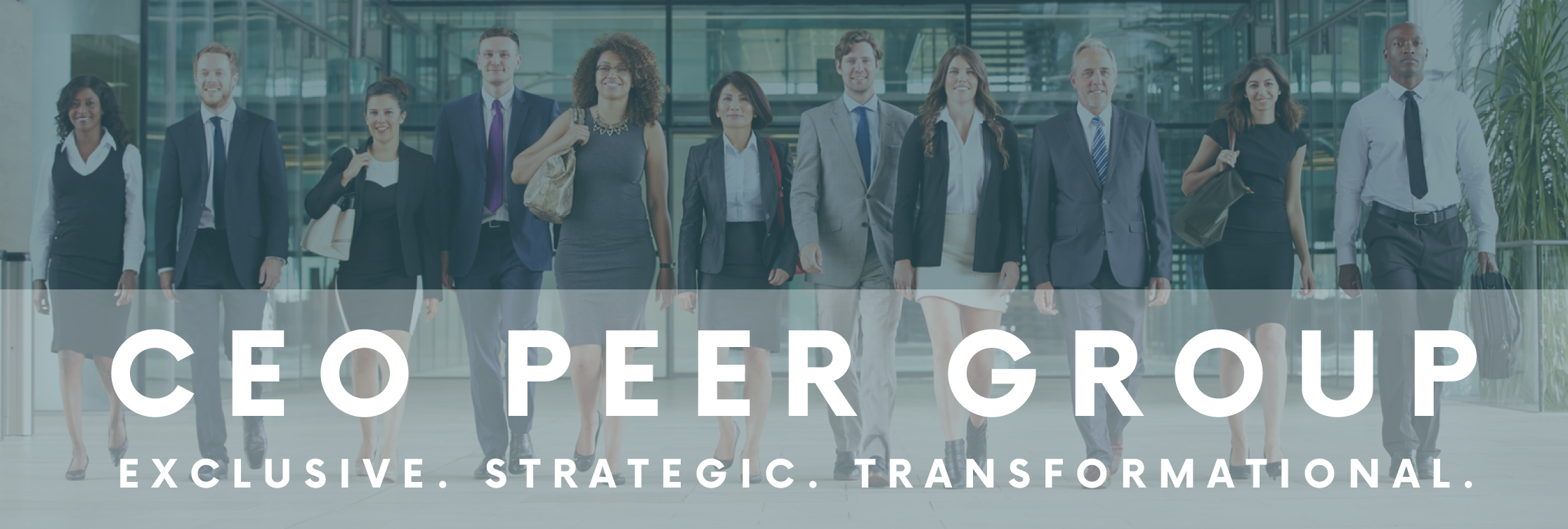 CEO PEER GROUP - McHenry County EDC